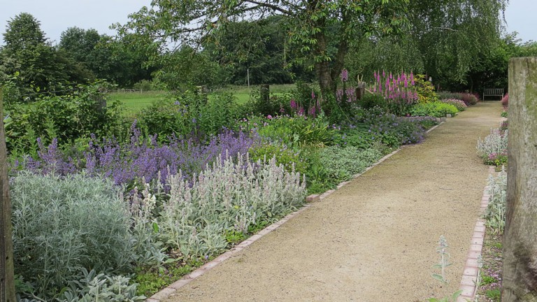 This Long Border is 35 meters long with flowers and shrubs at both sides