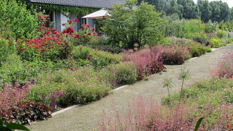 This Long Border is 35 meters long with flowers and shrubs at both sides