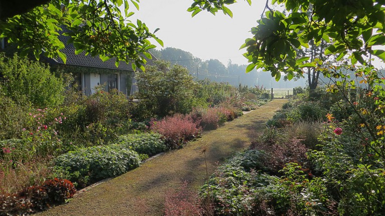 This Long Border is 35 meters long with flowers and shrubs at both sides
