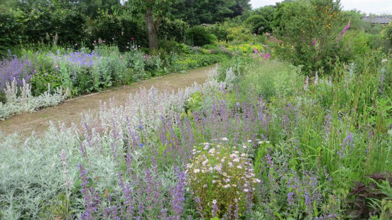 This Long Border is 35 meters long with flowers and shrubs at both sides